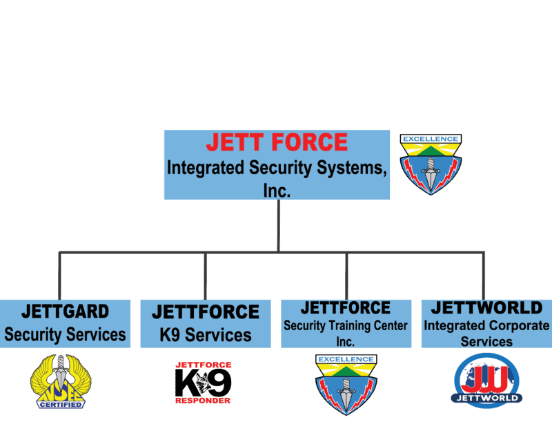 Corporate Services Group | JETTFORCE Security